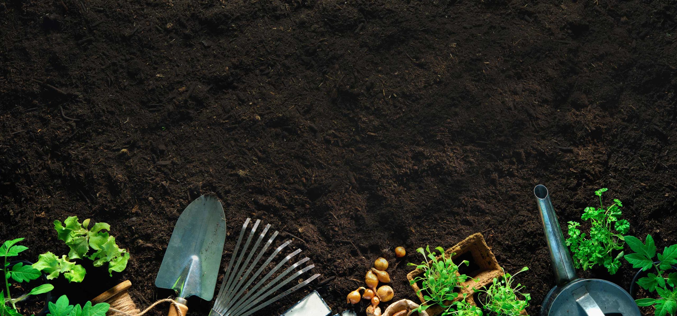 Home - The Seed Warehouse